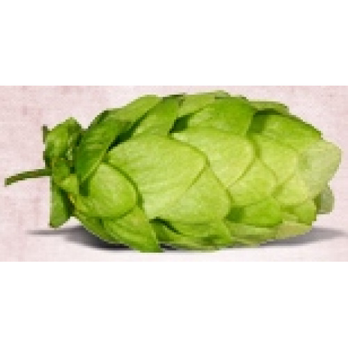 Pacifica Hops